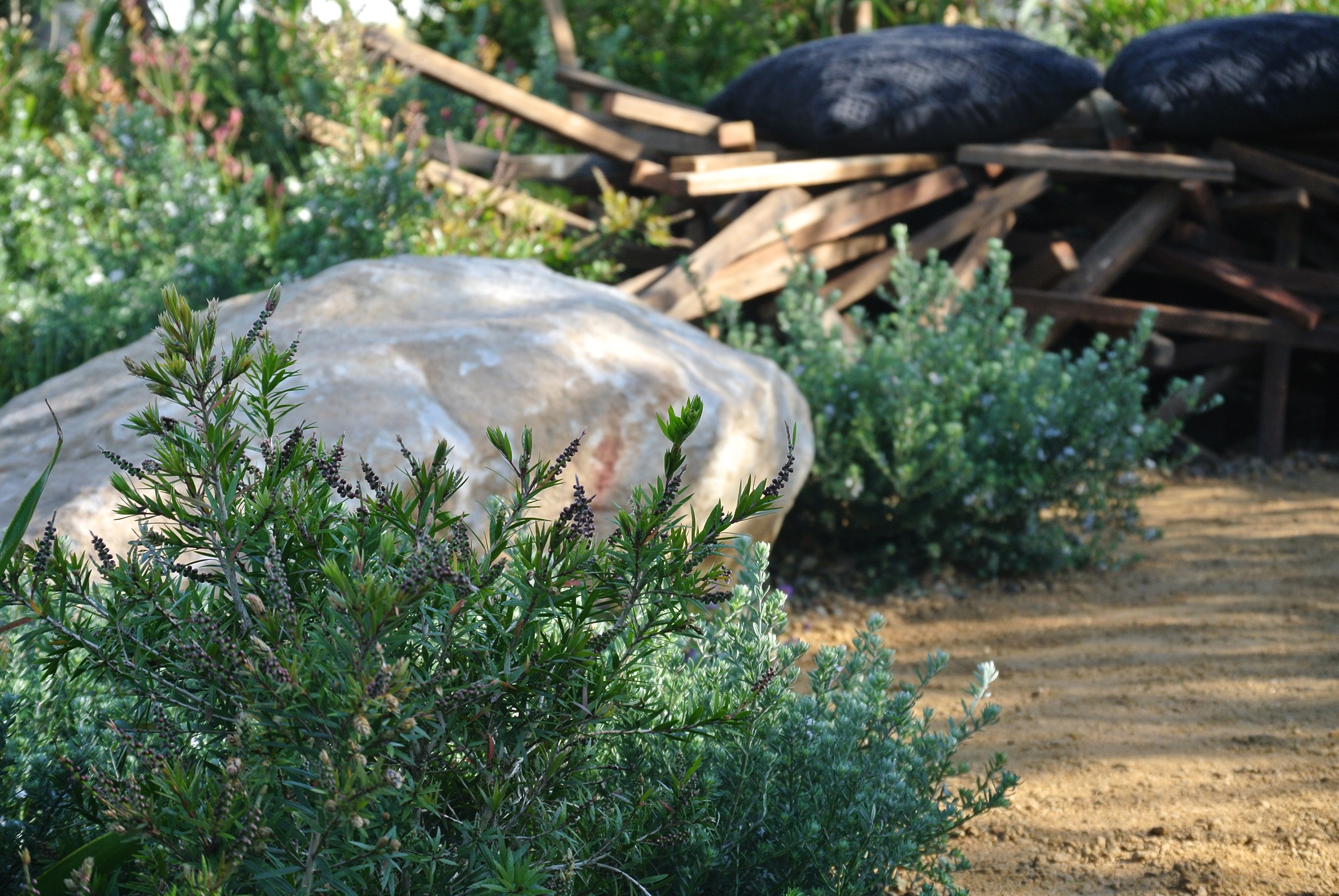 Sustainable approaches to planting design - LCGD