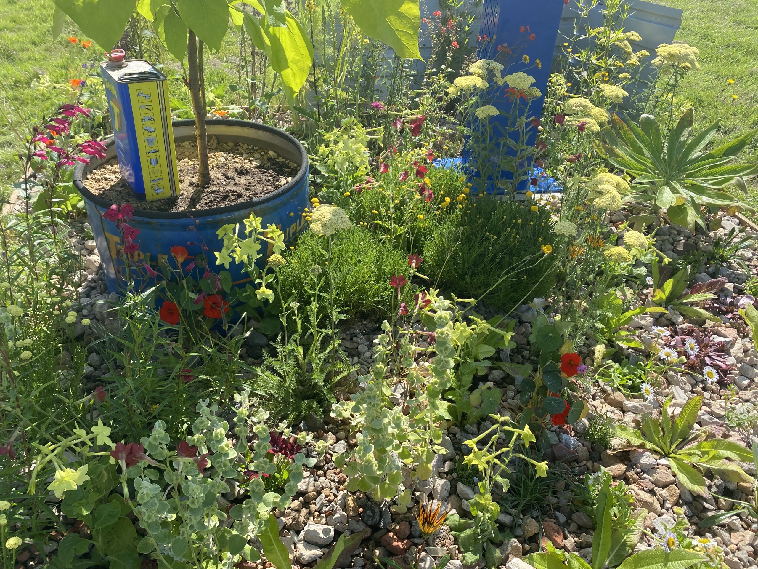 New bursary scheme launched - LCGD